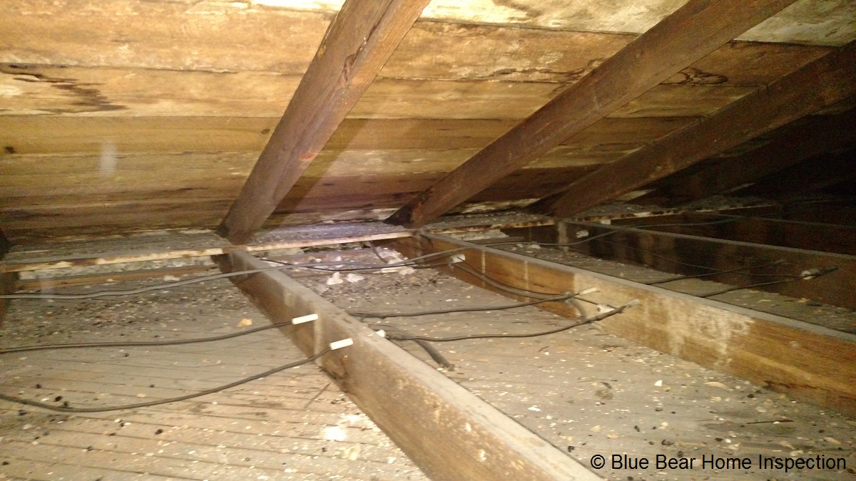 blue bear 4 point electrical knob tube - Blue Bear Home Inspection